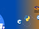 Programming Problems And Competitions Hackerrank